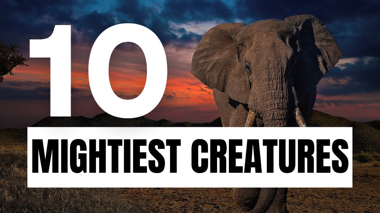 Nature's Muscle Mavericks: The Top 10 Strongest Animals on Earth! - YouTube