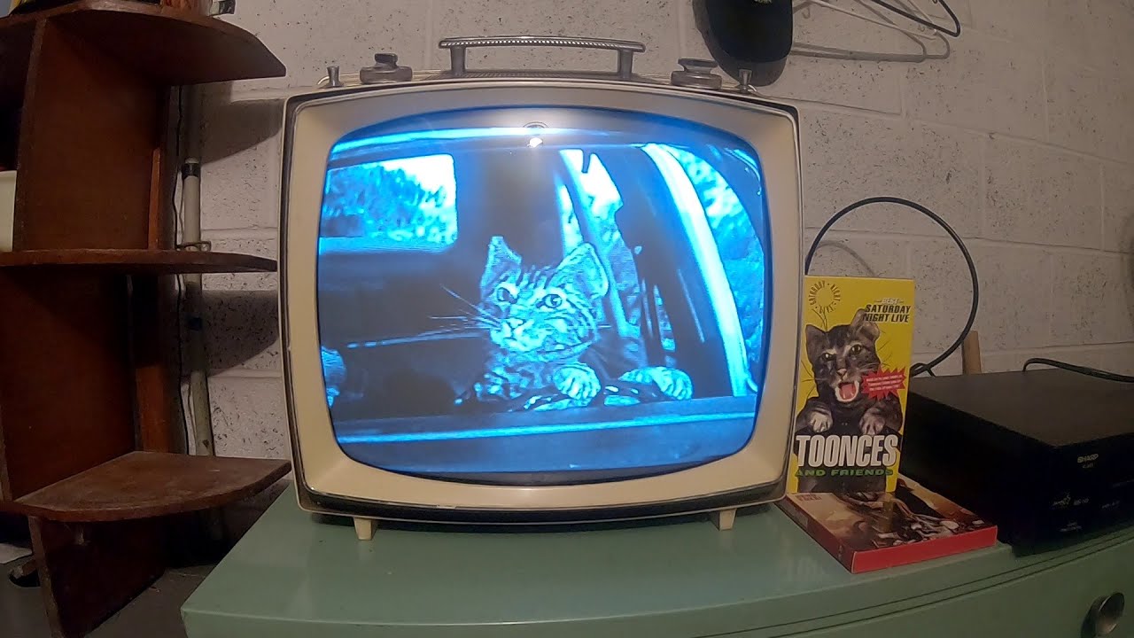 Toonces the Driving Cat SNL - YouTube