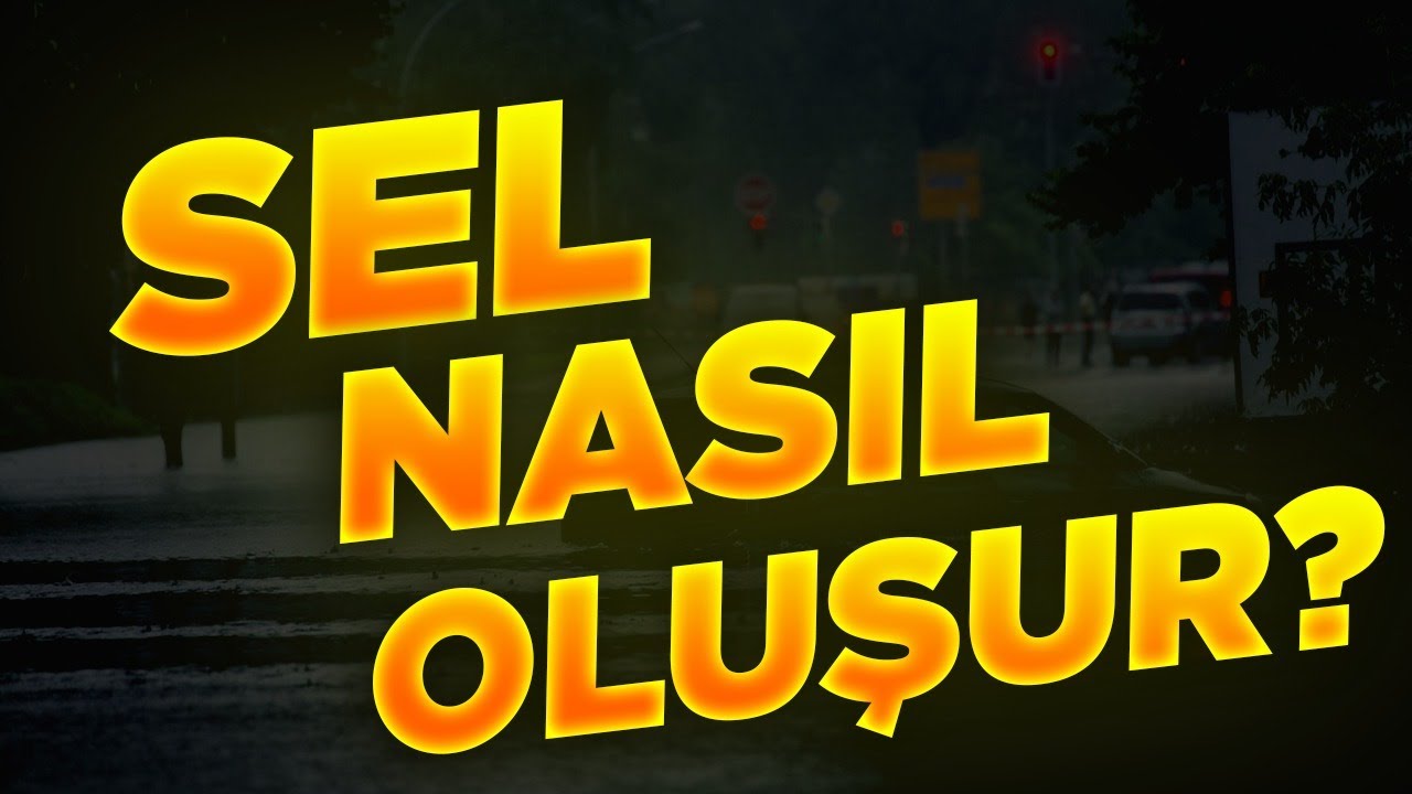 Sel Nedir? Nasıl Oluşur? - YouTube