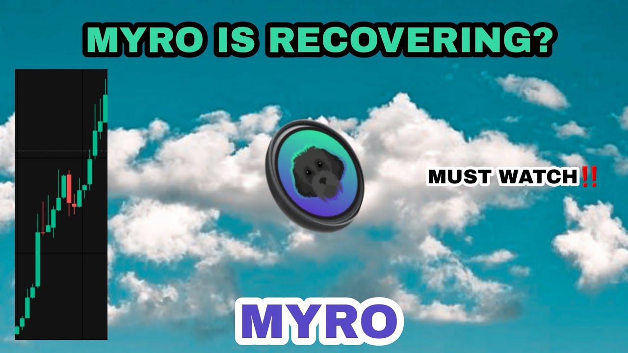 MYRO COIN IS RECOVERING UPDATE IN FEBRUARY 2024‼️ MYRO HOLDERS THIS IS ...