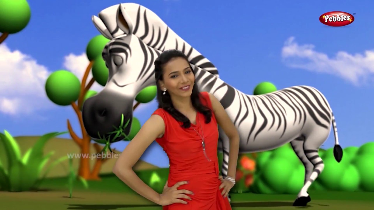 Zebra Rhyme For Babies | Hindi Rhymes For Children With Actions | हिंदी ...