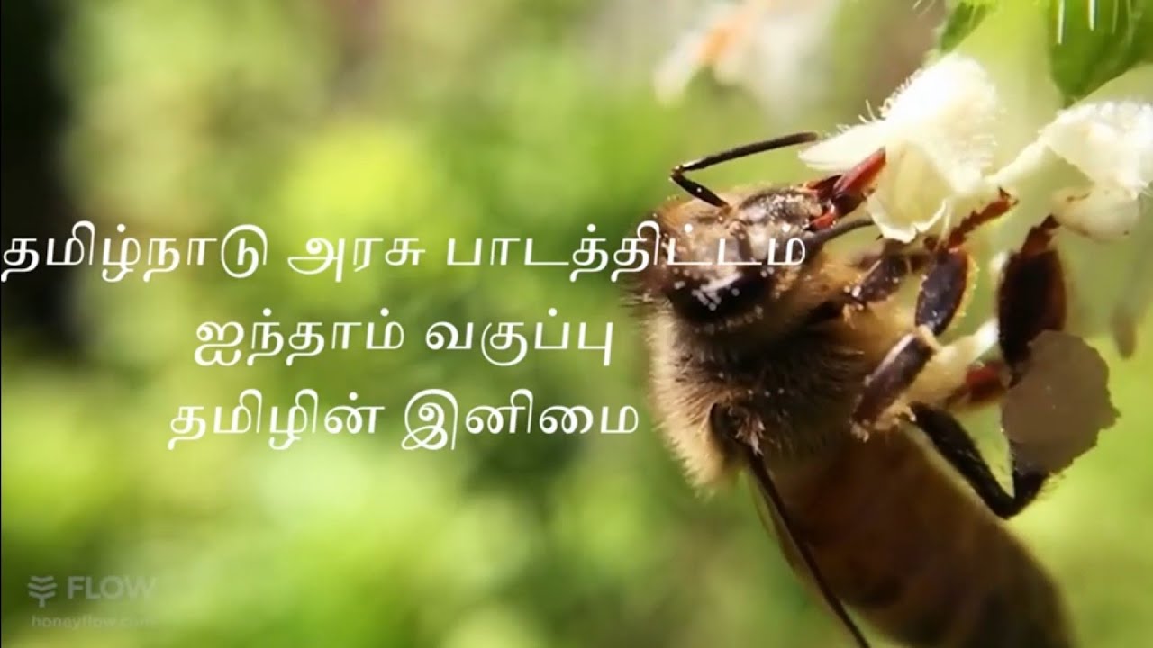 தமிழின் இனிமை பாடல் |ஐந்தாம் வகுப்பு | tamil rhymes 5th std tamilin ...