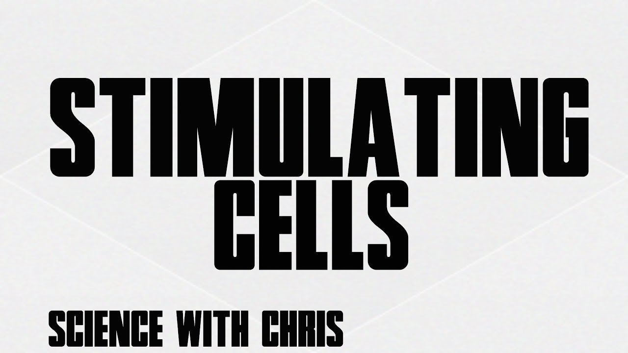 How to Stimulate Cells: General - YouTube