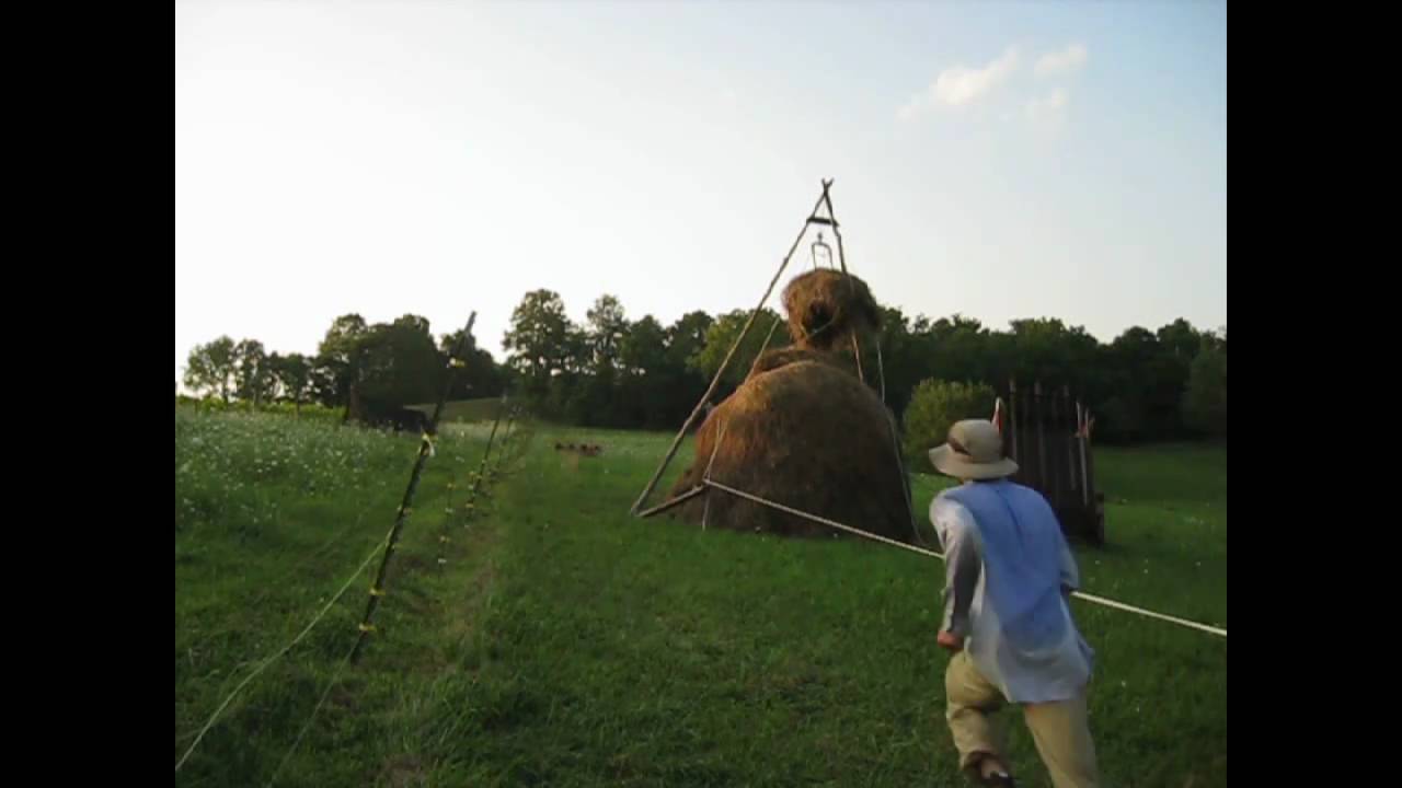 Ox Powered Hay Stacker - YouTube