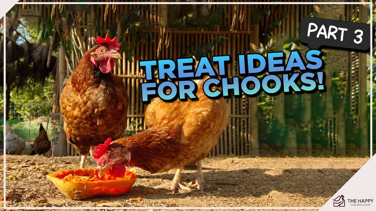 The Definitive List of Chicken Treats - Part 3 - YouTube
