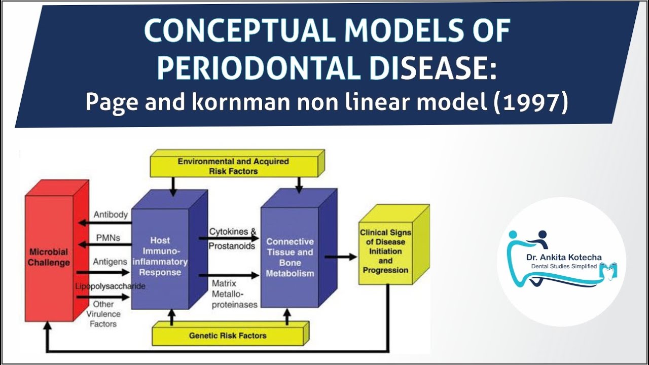 CONCEPTUAL MODEL OF PERIODONTAL DISEASE NON LINEAR MODEL 1 PAGE CONCEPTUAL MODEL OF PERIODONTAL DISEASE NON LINEAR MODEL 1 PAGE