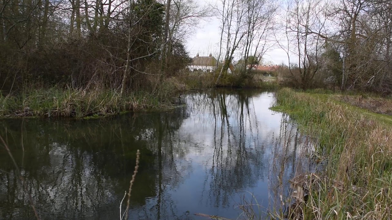 River Dever, Bransbury - 3rd April 2020 - YouTube