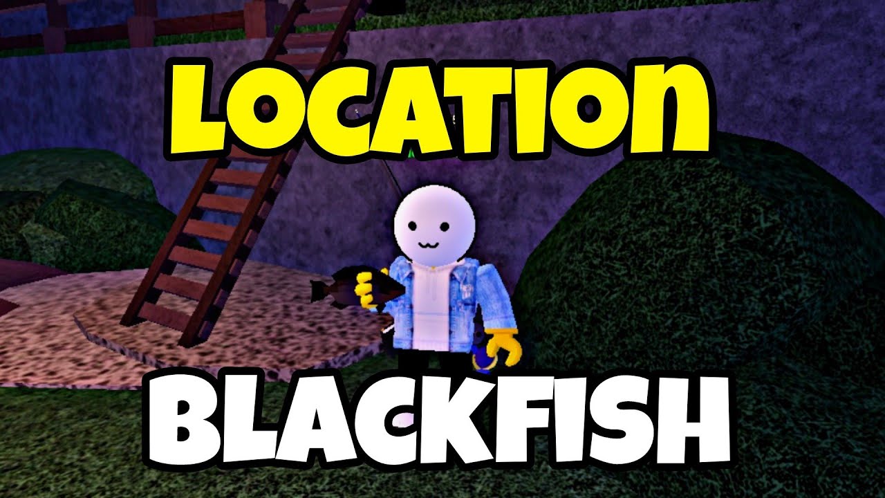 [LOCATION] Where to Find Blackfish in Fisch Roblox | blackfish - YouTube