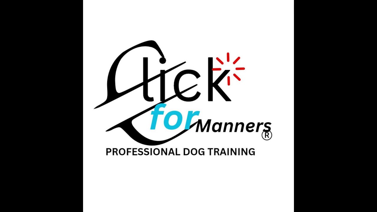 Service Dog Tasks YouTube service-dog-tasks-youtube
