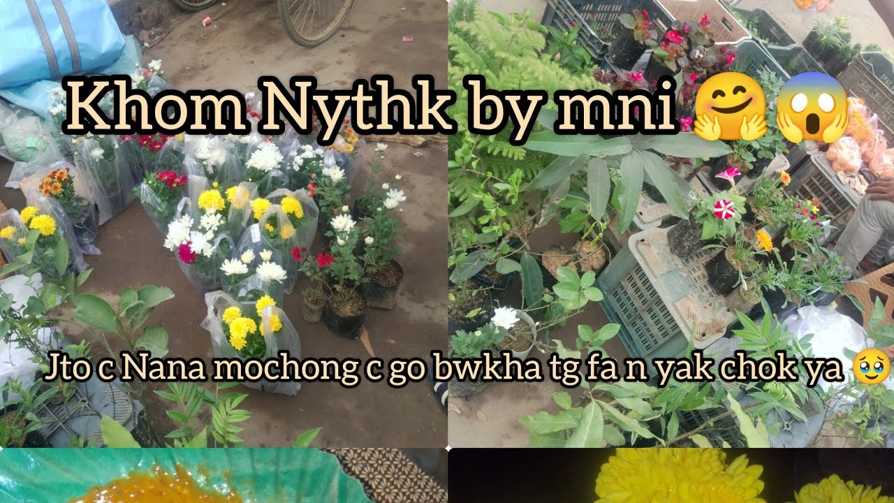 teliamura bazar khom Nythk by mni 🌼🥰jto c na na ni mochong c go bwkha ...