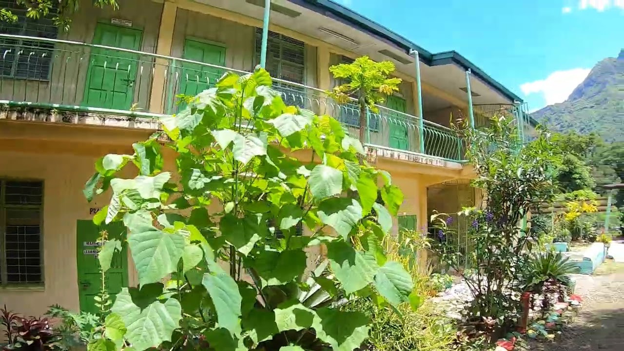 VISITING BALAKBAK ELEMENTARY SCHOOL & GOVERNOR BADO DANGWA AGRO ...