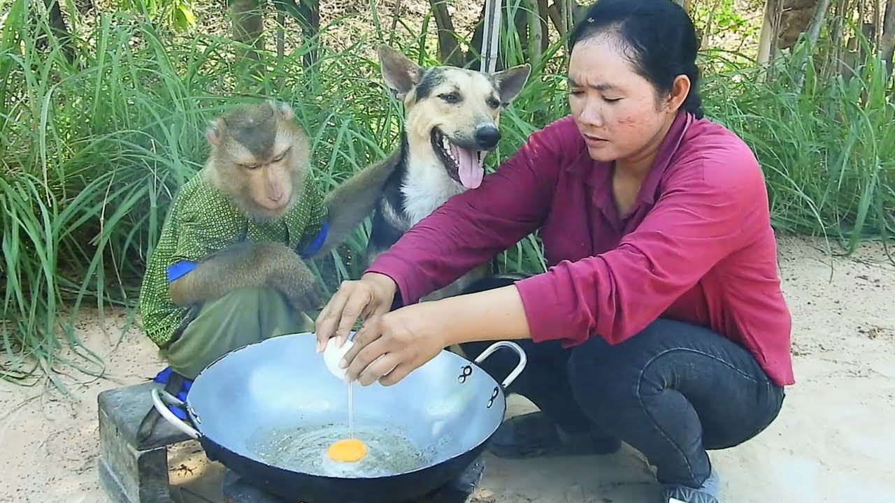 Omelet Cooking Is Pop Recipes For SokYaa's Family - YouTube
