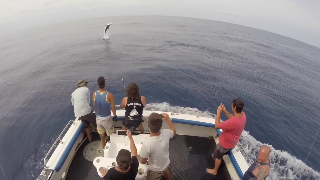 hot fishing charters Bermagui - YouTube