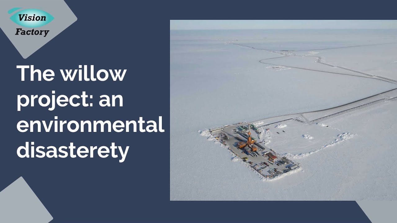 The willow project - an environmental disasterety awareness | VISION ...