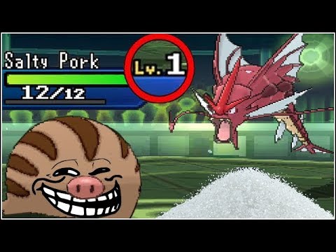EPIC SWINUB SWEEP~★ (LEVEL 1 TROLL) - YouTube