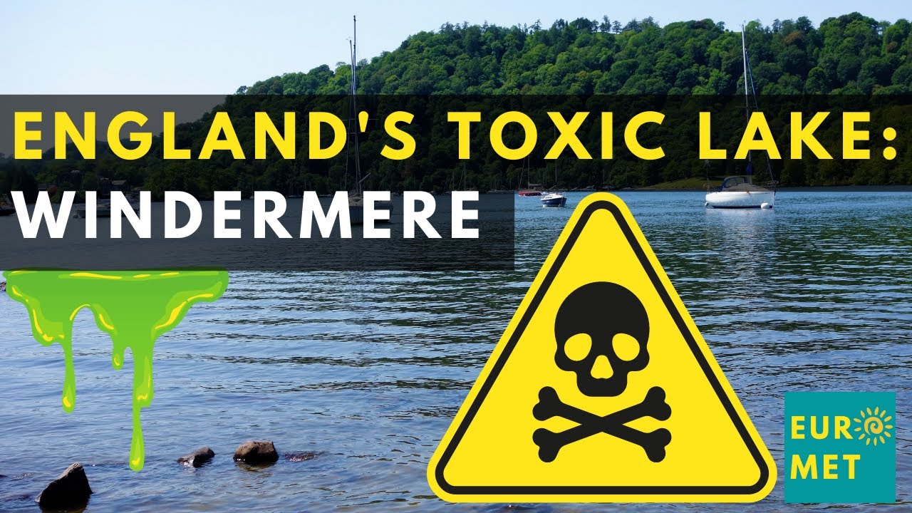 England Has a Contaminated Lake: Windermere #lakedistrict # ...