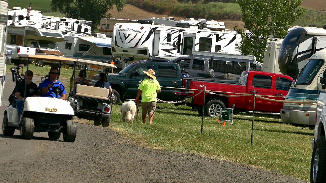 Camping at Webb's Slough - YouTube
