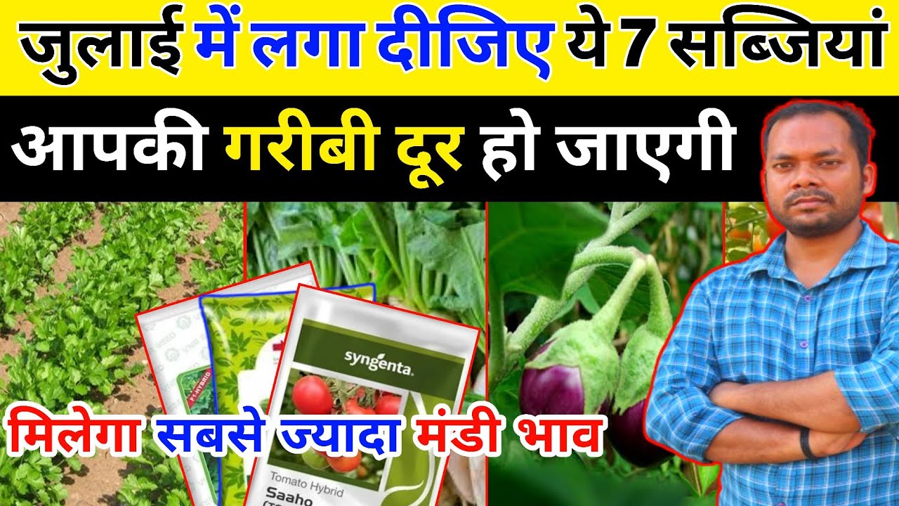 July me konsi sabji lagaye | july me lagai jane wali sabjiya | बरसात ...