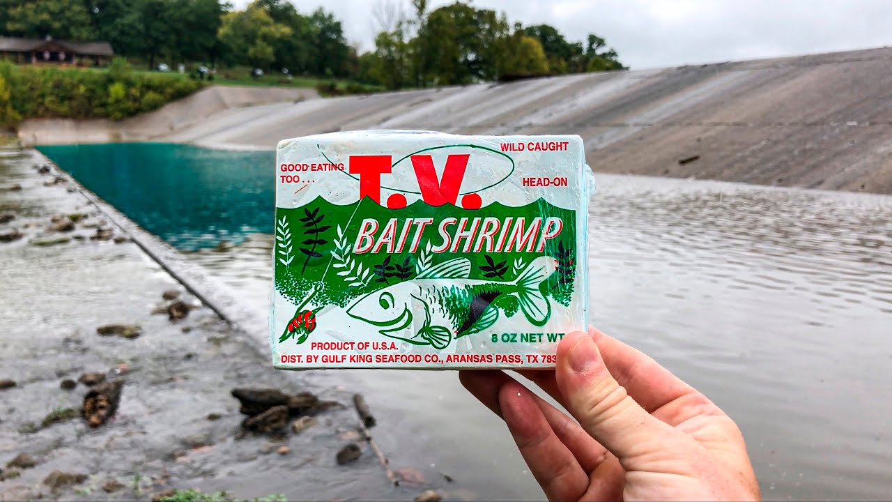 WEIRD Bait Challenge at a Spillway = NEW PB x2!!! - YouTube