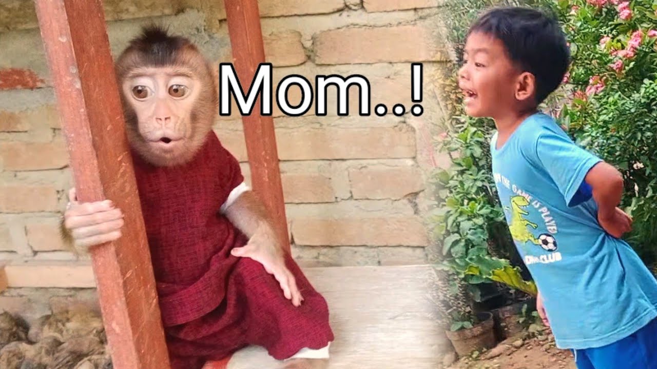 LiBi ask milk.. - YouTube