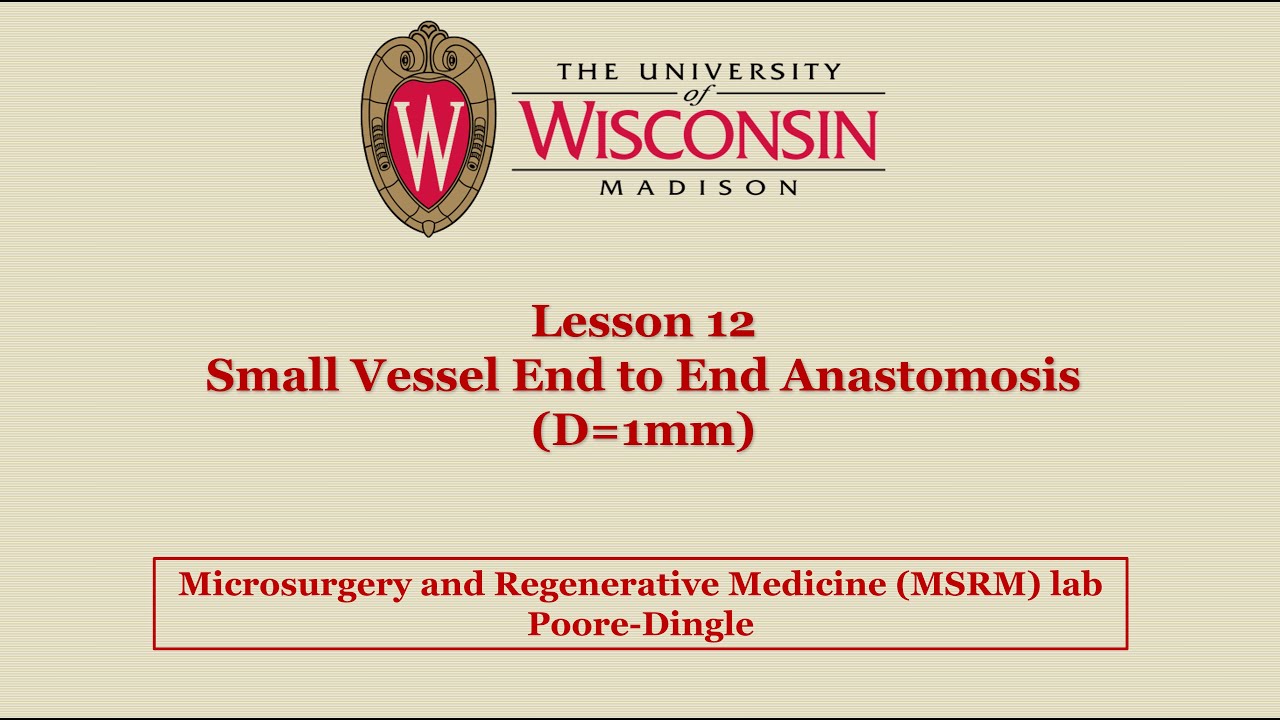 Lesson 12: Small Vessel End to End Anastomosis (D=1mm) - YouTube