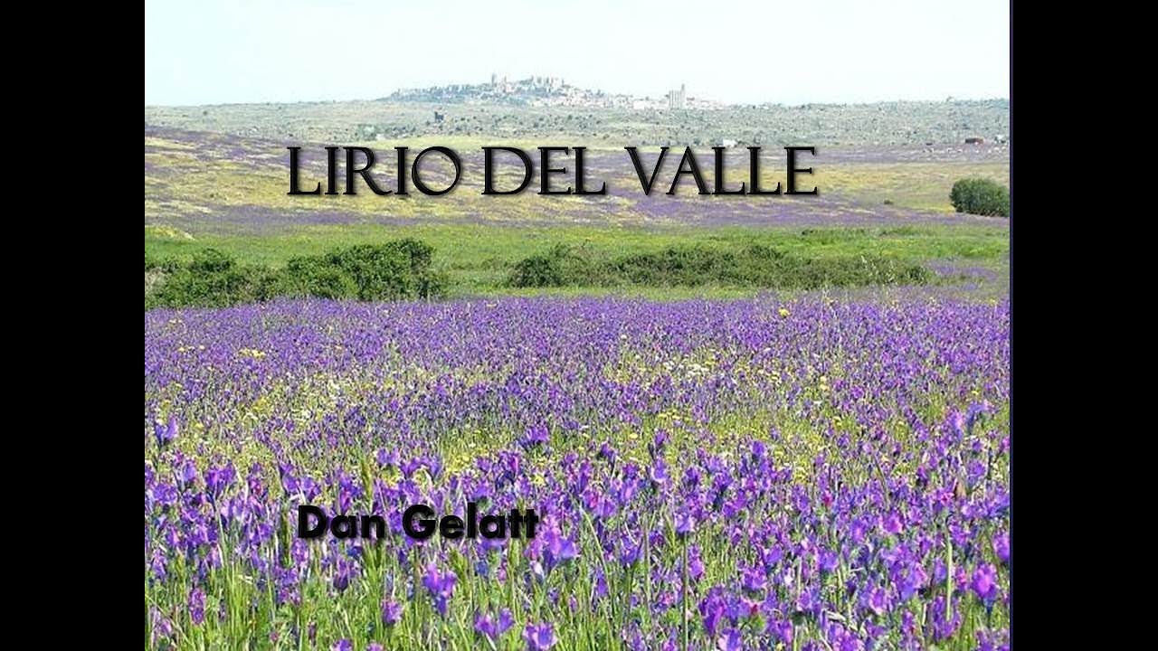 Dan Gelatt - Lirio del valle - YouTube