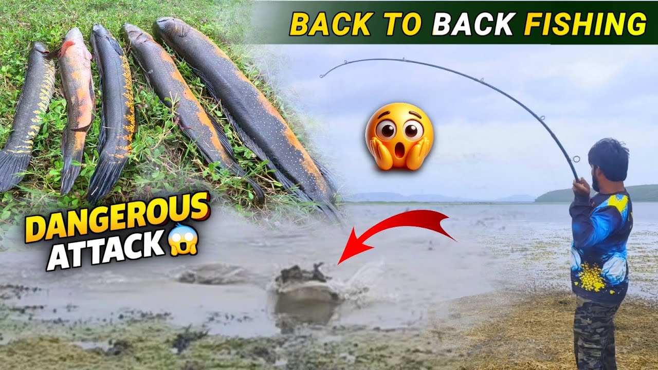 Big Snakehead Strike 😱 | How to Catch Snakehead Fish with Frog ...