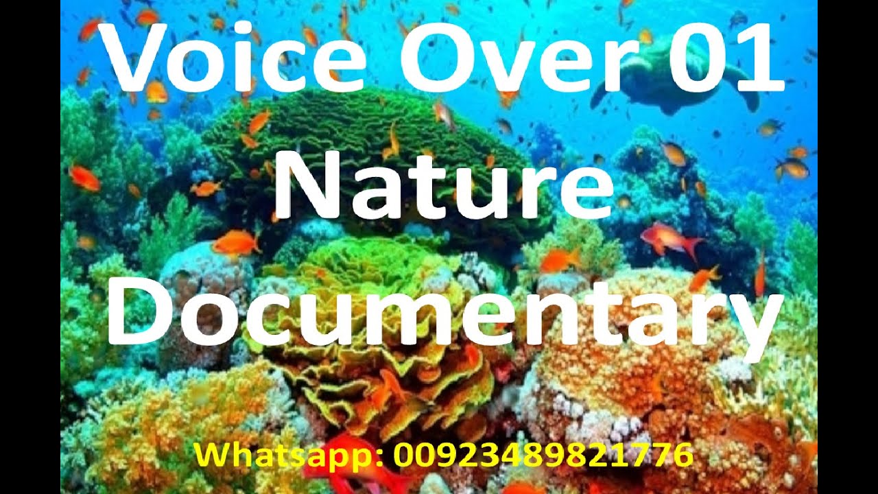 Voice Over 01 Nature Documentary - YouTube
