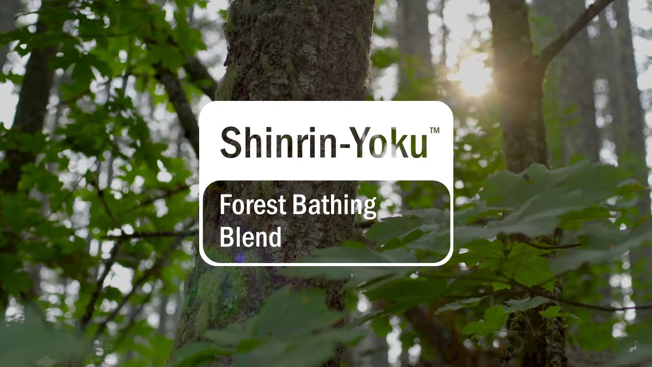Immerse yourself with doTERRA Shinrin-Yoku - YouTube