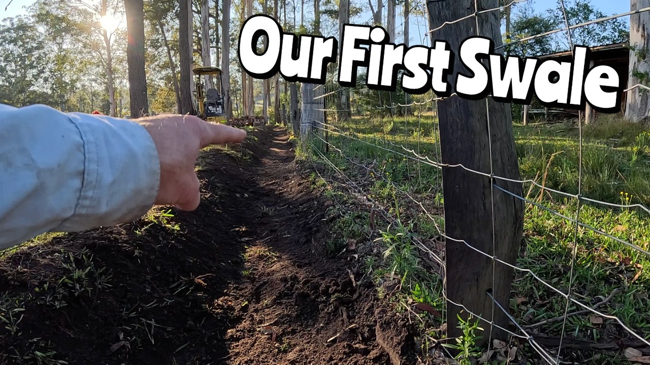 How to Build a Swale | Beginner Homesteading in Australia - YouTube