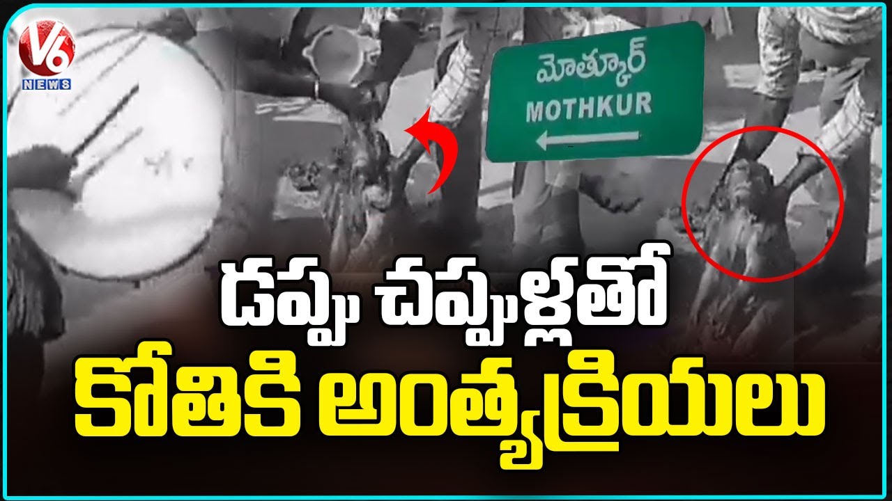 Mothkur Villagers Performs Funeral To Monkey | Vikarabad | V6 News ...