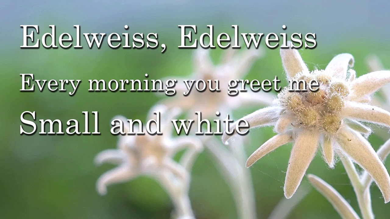 EDELWEISS - YouTube