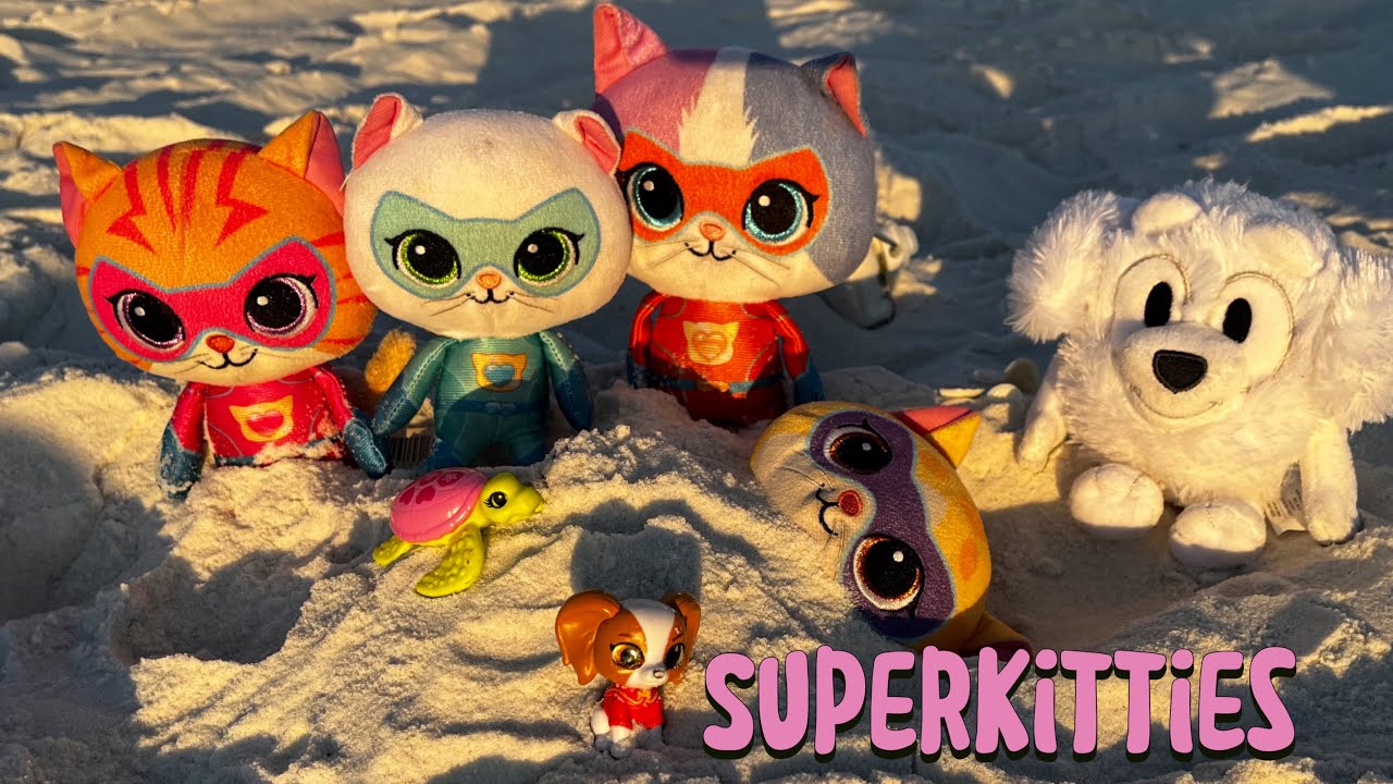 SuperKitties Toys go to the Beach! - Ginny, Sparks, Buddy, and Bitsy ...