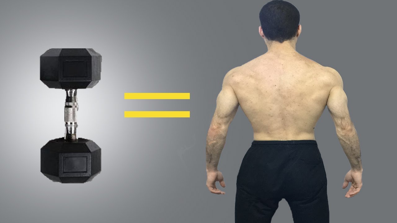 Back Workout At Home (DUMBBELLS ONLY) - YouTube