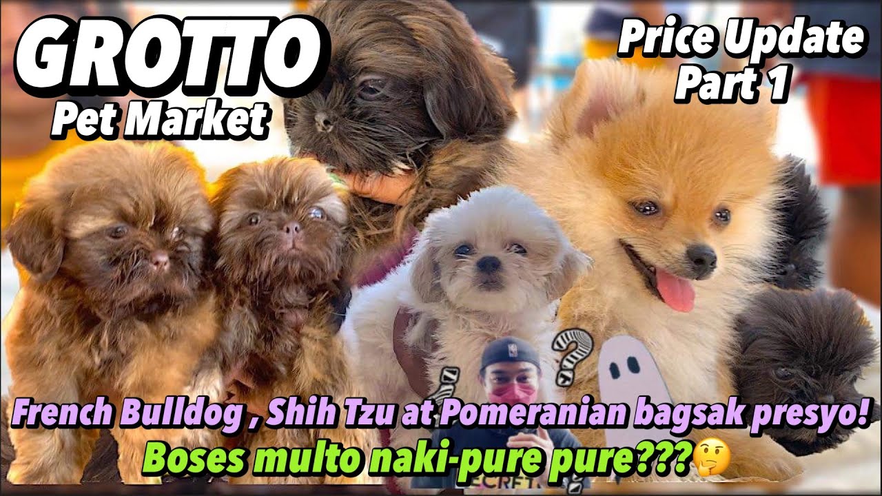Grotto Pet Market Part 1 | March 26, 2023 | San Jose Del Monte, Bulacan ...