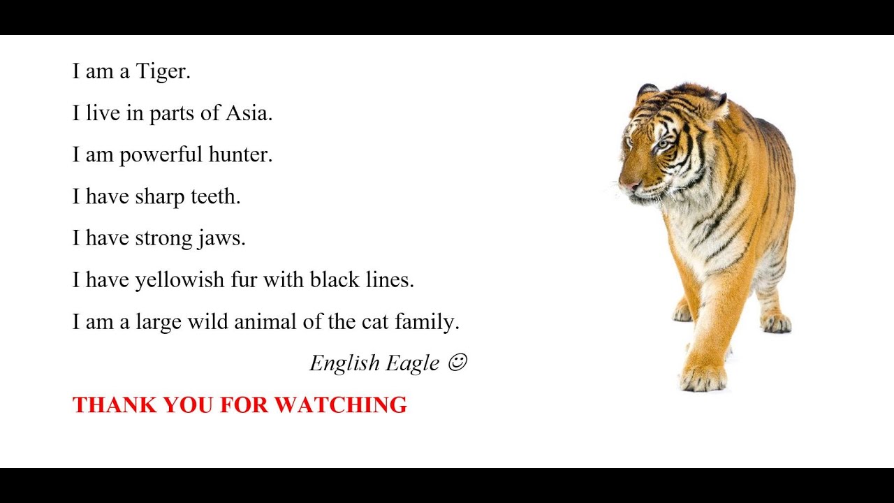 THE TIGER | SIMPLE STORY - YouTube