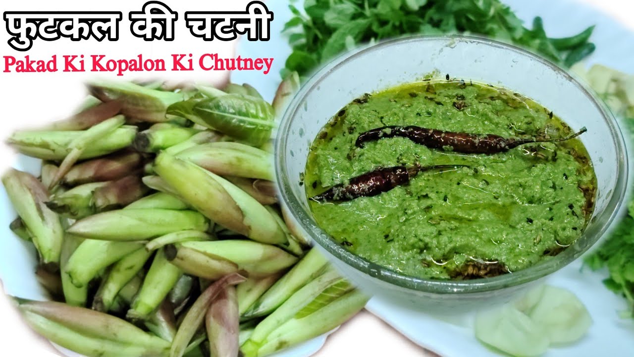 Pakad Ki Kopalon Ki Chutney | Futkal Ki Chatni Recipe | Phutkal Chatani ...