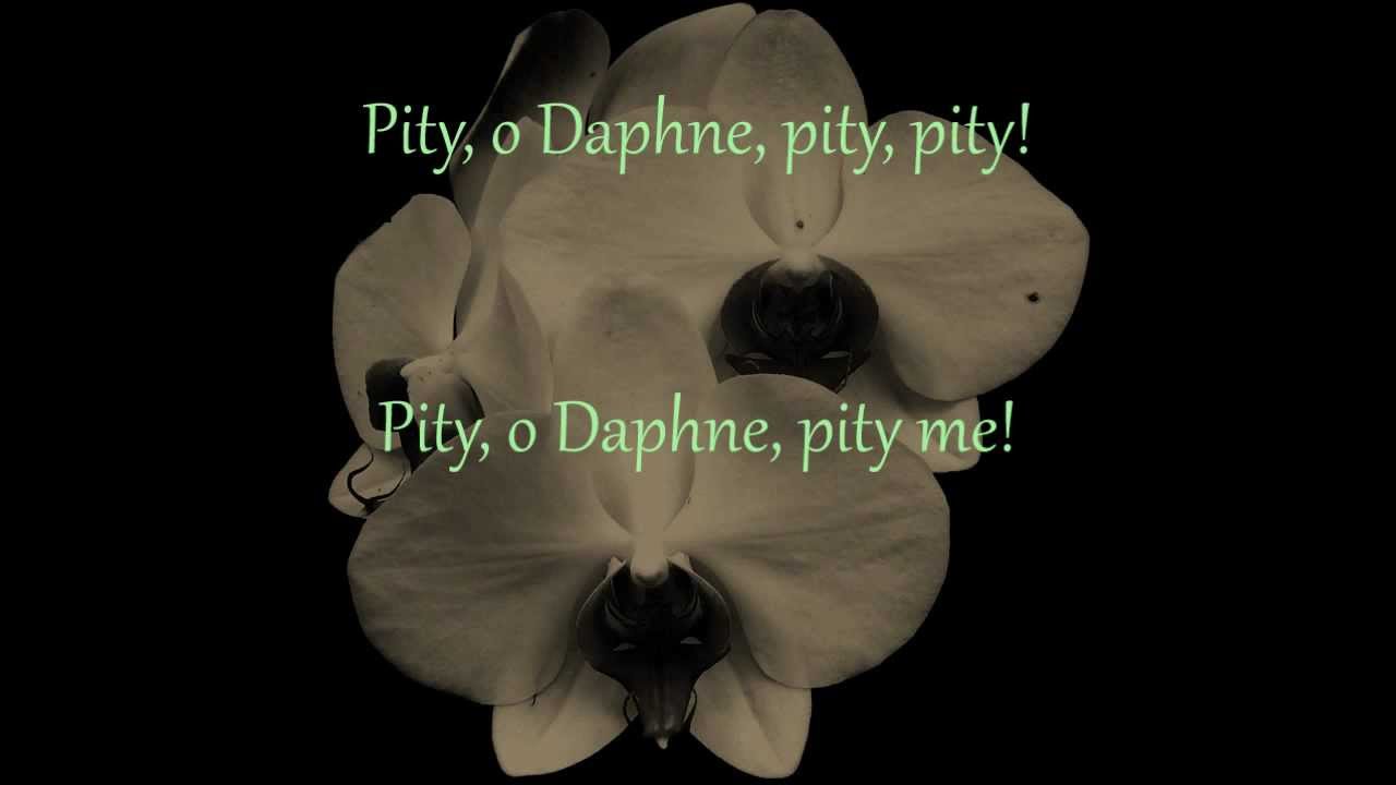 When Daphne from fair Phoebus did fly - YouTube