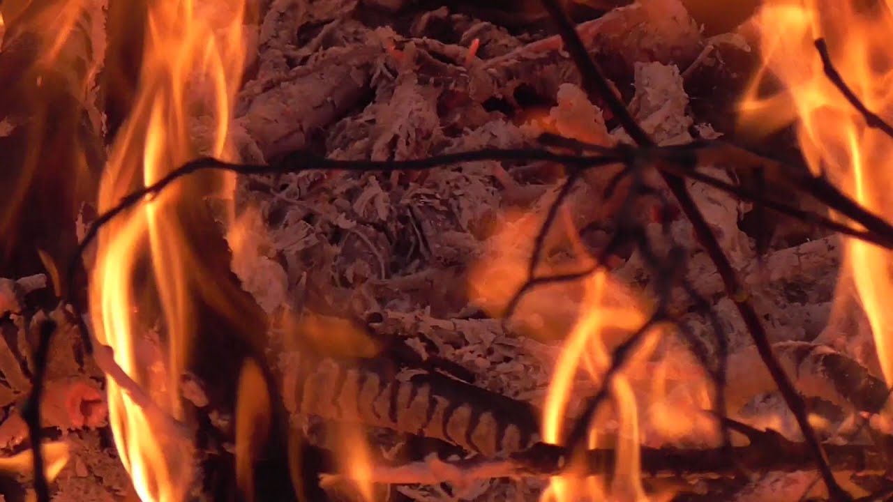 Bonfire and music for relaxation and meditation - YouTube