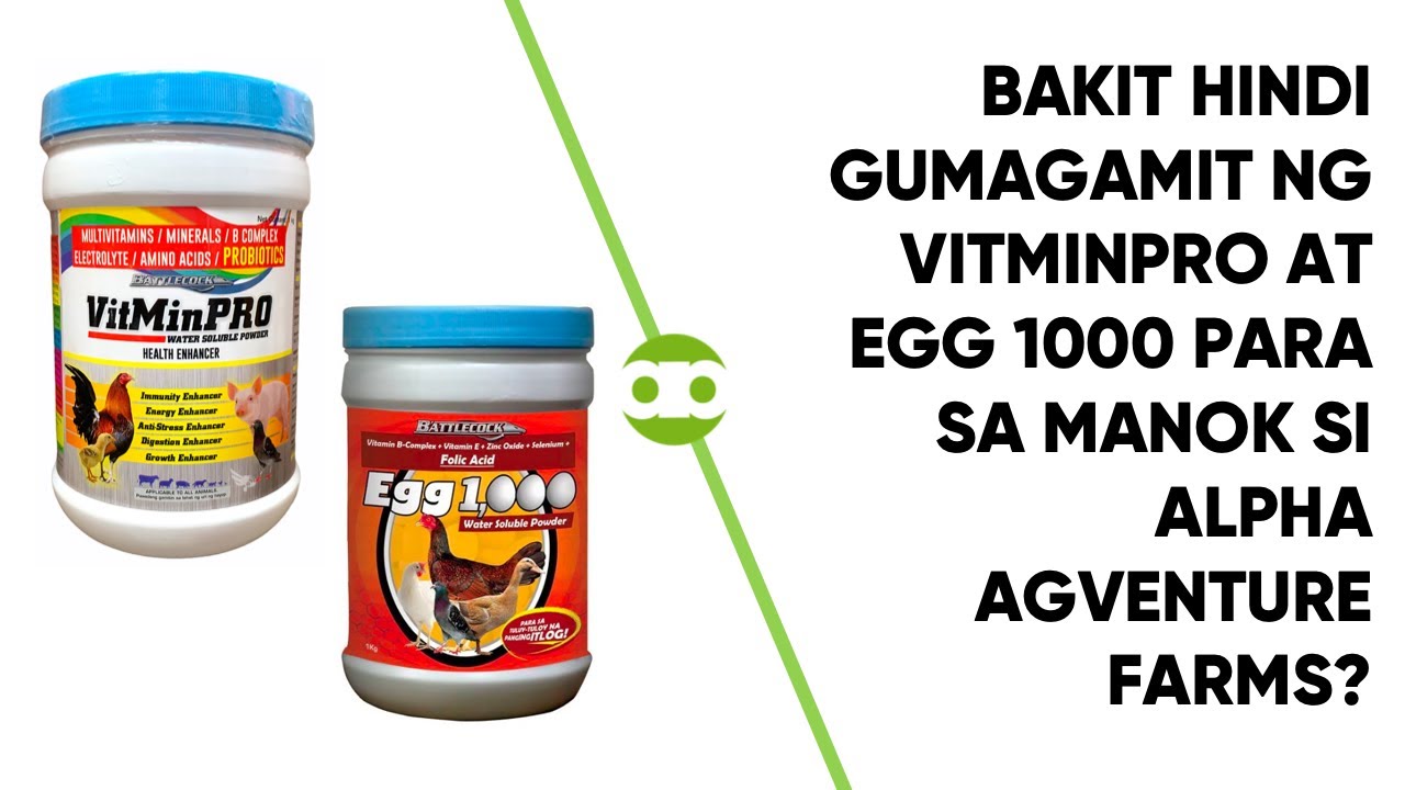 Bakit Hindi Gumagamit ng VitMinPro at Egg 1000 Para sa Manok si Alpha ...