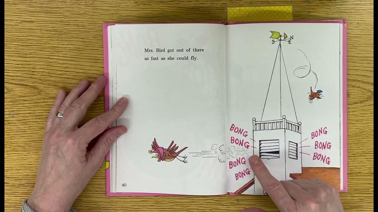 The Best Nest by P.D. Eastman read aloud book - YouTube