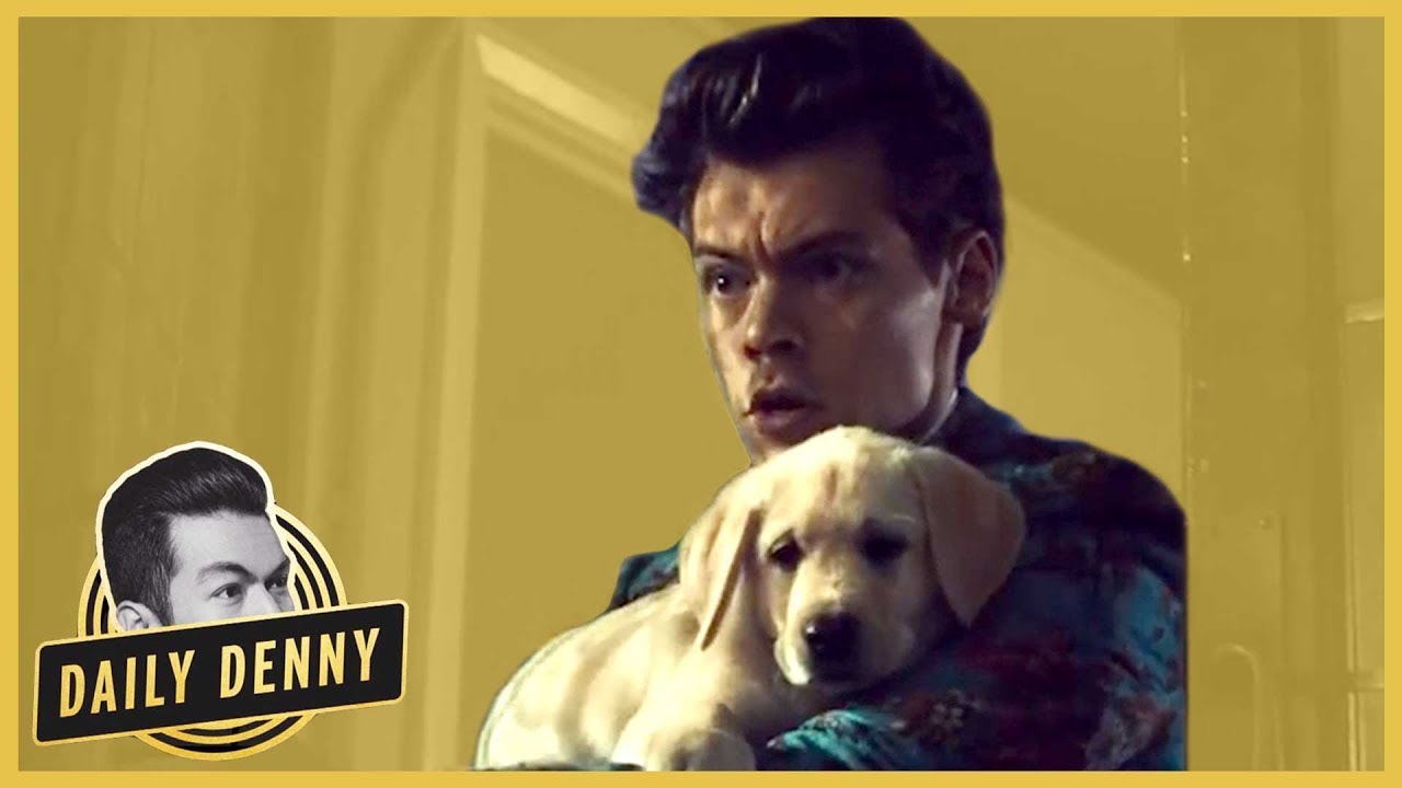 Harry Styles + Food Fight + Puppies = 'Kiwi' Music Video | Daily Denny ...