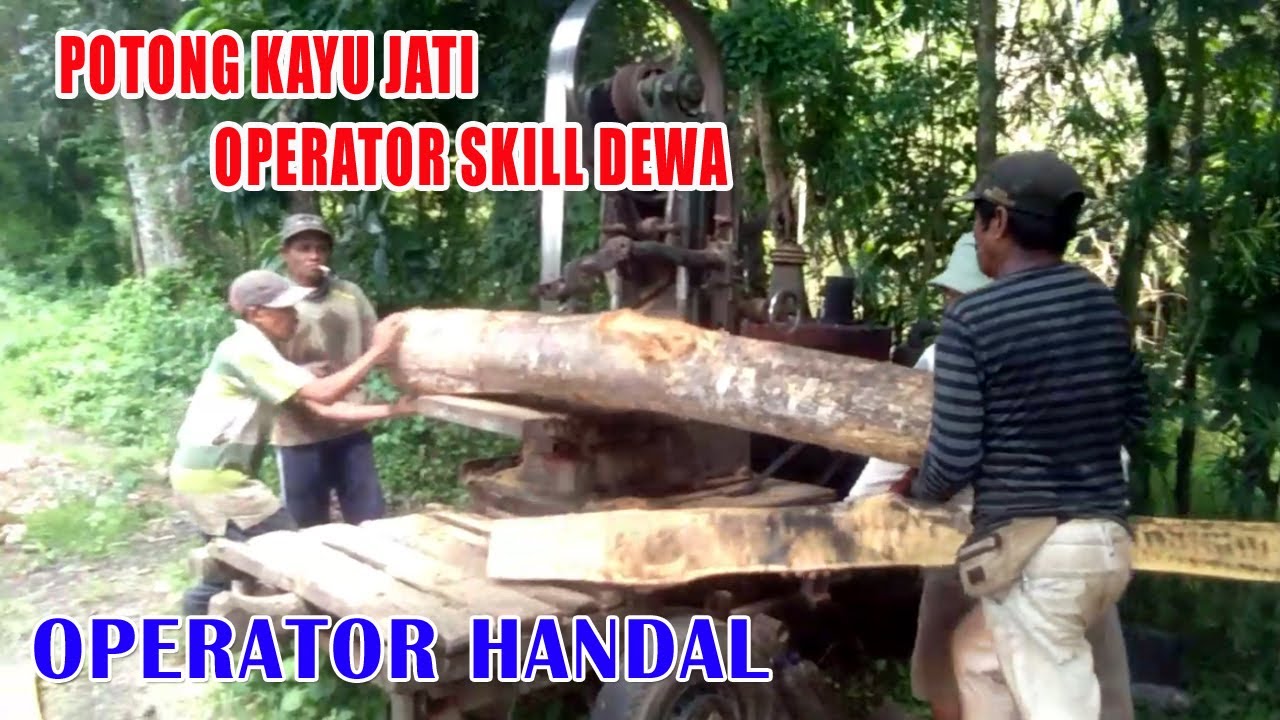 PROSES PENGGERGAJIAN KAYU JATI,SERKEL KAYU SELENDANG DENGAN OPERATOR ...