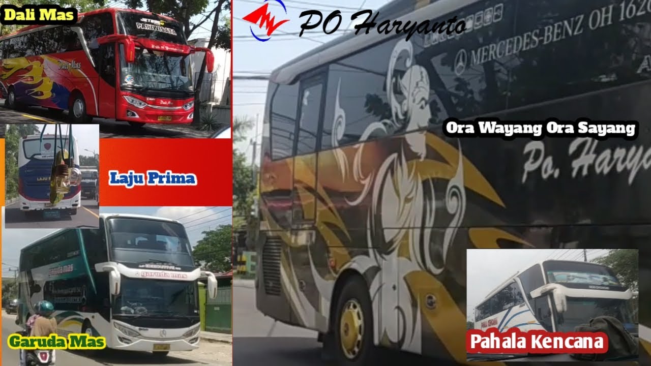 Video Random Bus | PO. Haryanto - Dali Mas - Laju Prima - Pahala ...