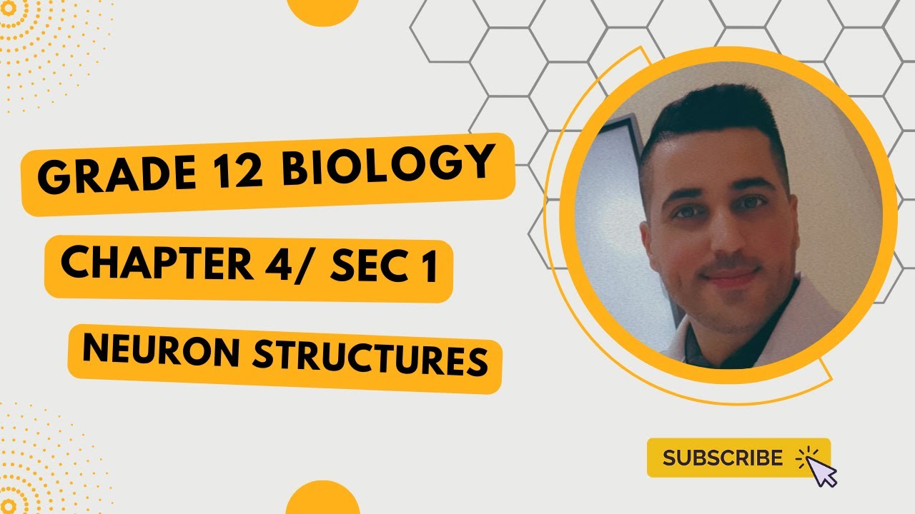 Ch4/sec1 Neuron Structures (پێکهاتەی دەمارە خانە) - YouTube
