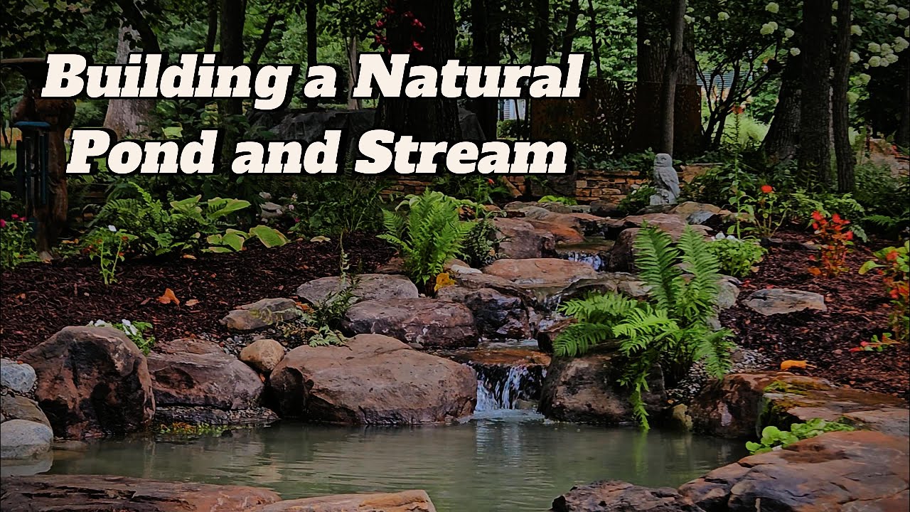 Building a Natural Woodland Pond And Waterfall! - YouTube