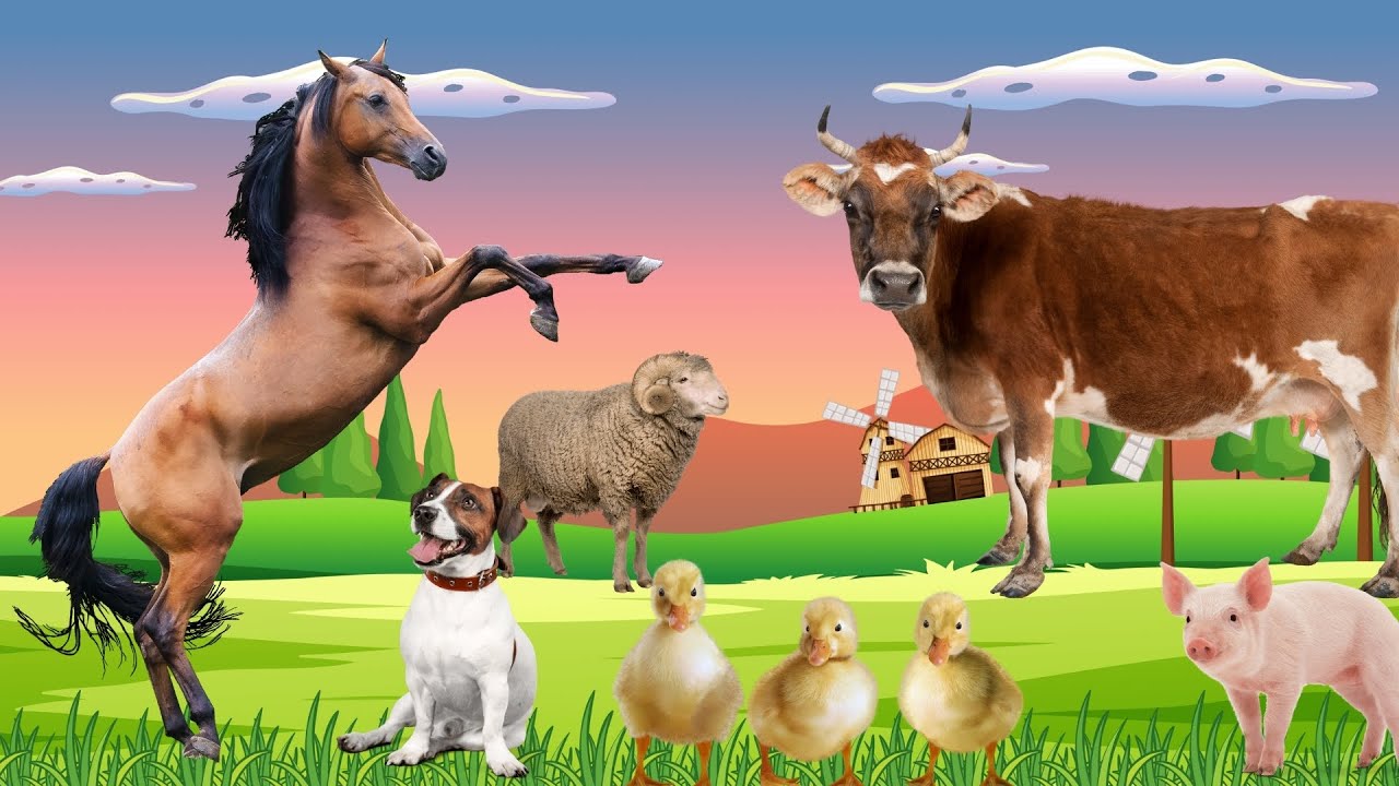 Farm animals and its name.Lets learn the names of a few farm animals ...