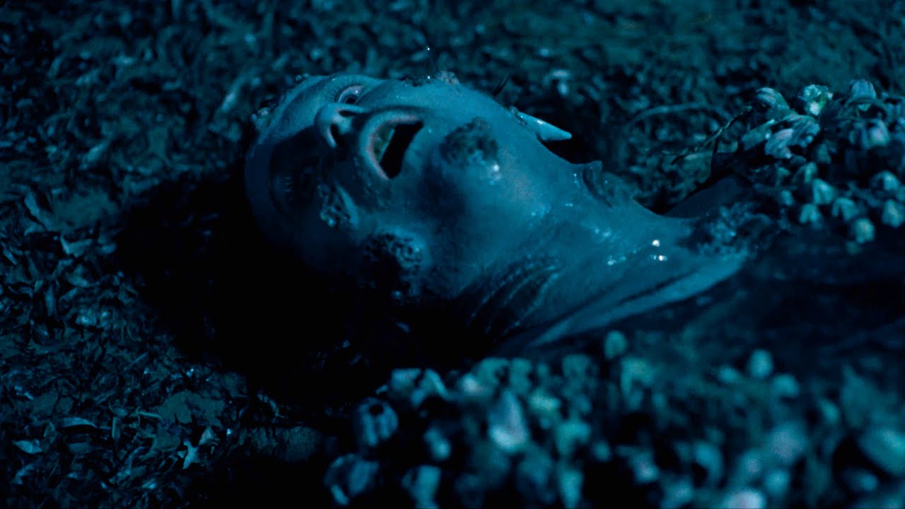 King Gizzard & The Lizard Wizard - Grow Wings and Fly (Official Video ...