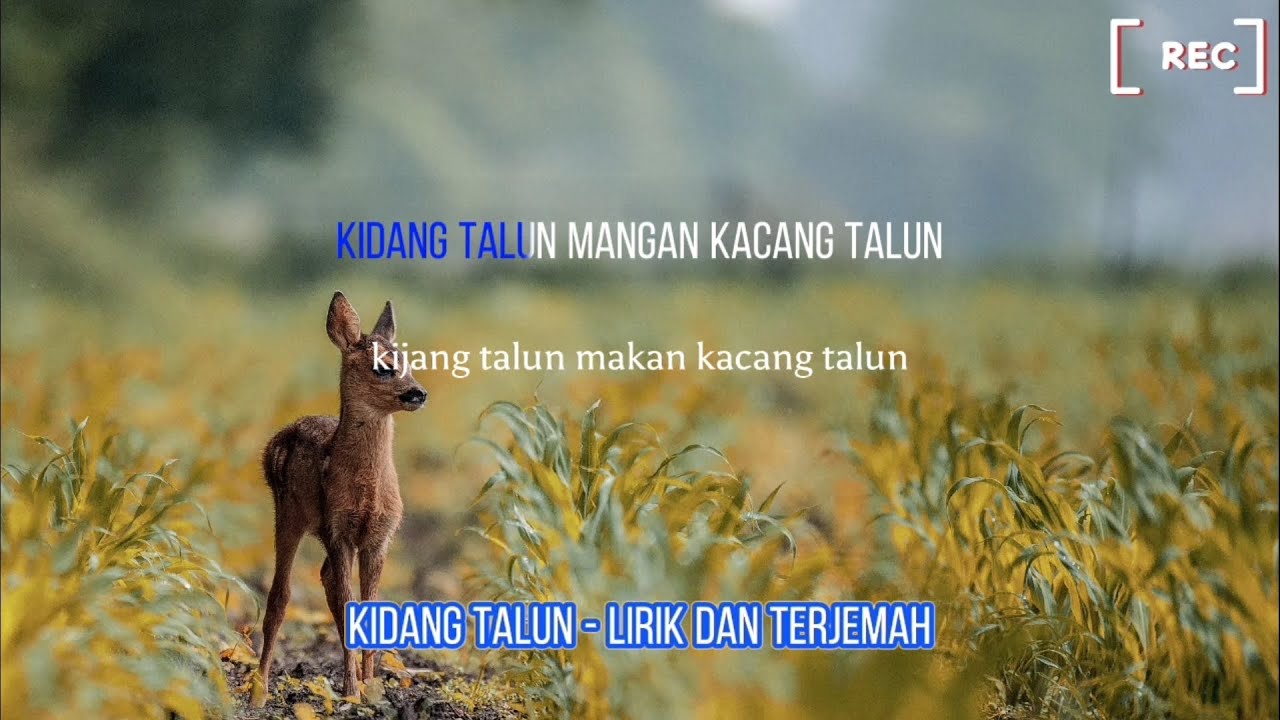 KIDANG TALUN - ARTI LIRIK DAN TERJEMAH BAHASA INDONESIA - YouTube