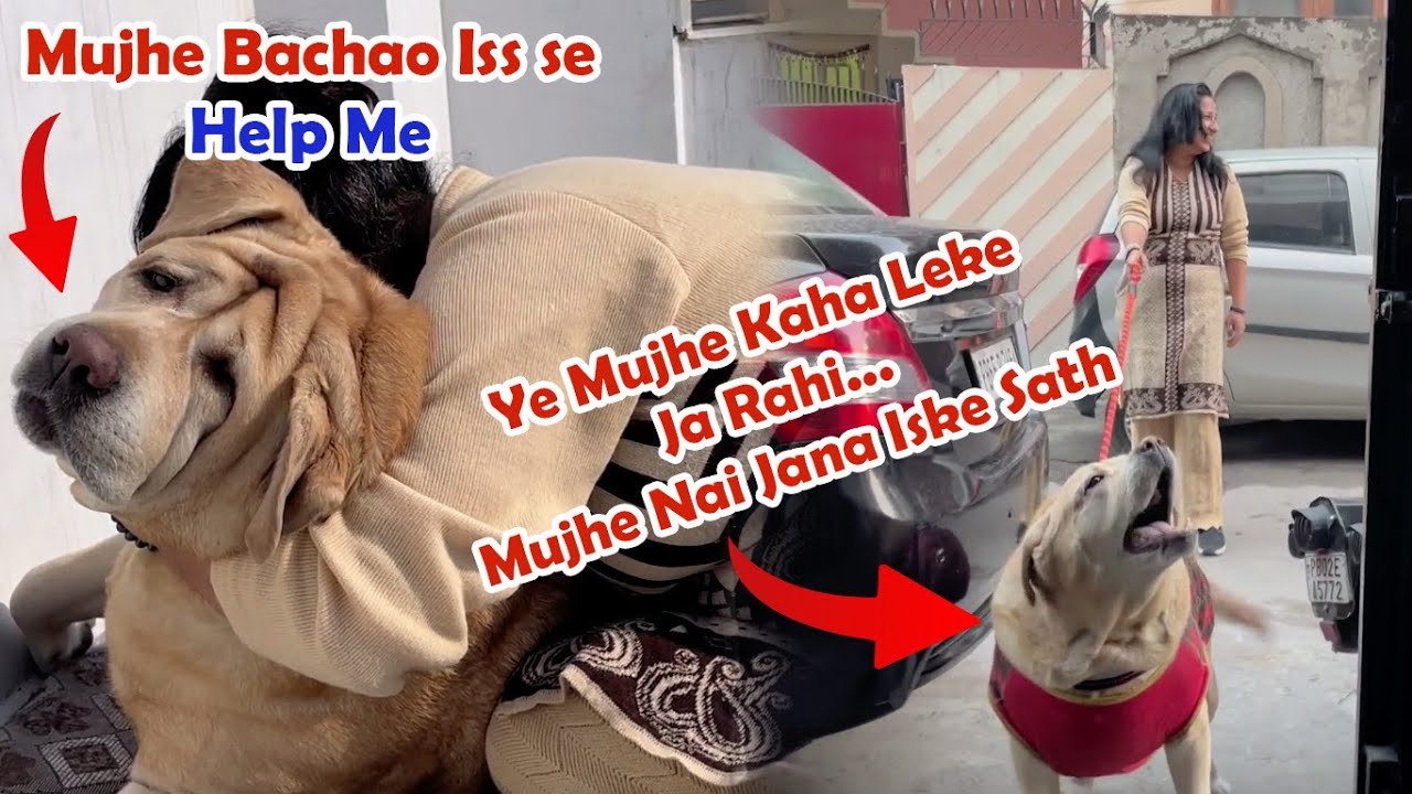 Help Me Plz... Mujhe Nai Jana Iske Sath | J04 @jennythelab - YouTube
